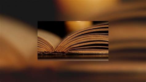 Shellfish Slavery And Same Sex Marriage How Not To Read The Bible