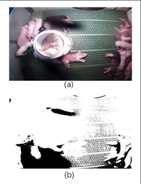 Figure 1 From Automated Activity Monitoring Using A Visual Sensor Semantic Scholar
