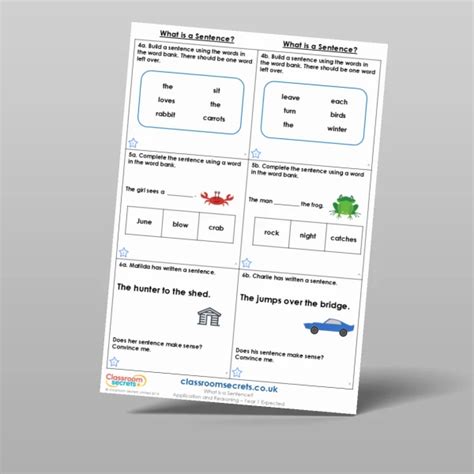 Year 1 Recognising A Sentence Application And Reasoning Resource Classroom Secrets