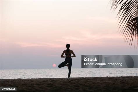 여름 방학 중 해질녘 고요한 해변에서 나무 요가 포즈를 연습하며 한쪽 다리로 서 있는 여성의 실루엣을 담은 전신 뒷모습 건강한 생활방식에 대한 스톡 사진 및 기타 이미지