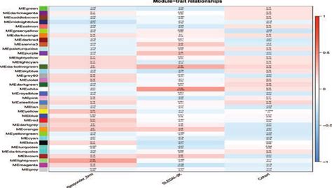 Correlation Between The Groups Of Differentially Expressed Genes From Download Scientific