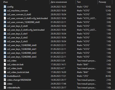 How Can We Copy And Paste Cs2 Config Between Different Steam Id Rcs2
