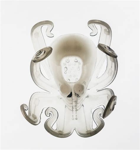 Meet The Worlds First Completely Soft Robot Octobot Prodigitalweb
