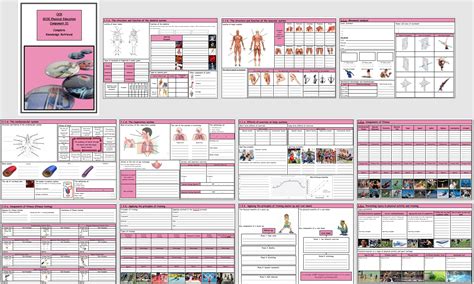 gcse pe ocr 9 1 complete component 01 knowledge retrieval