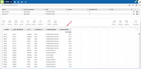 Layout Error When Printing Flexmonster