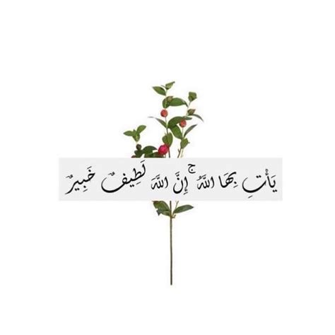 مَـريم🤍🦋‎ ‎🥹😂 ️ اكسبلورexplore Fypシ حب‎ Instagram