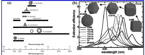 A Range Of Plasmon Resonance Of Gold Nanoparticles As A