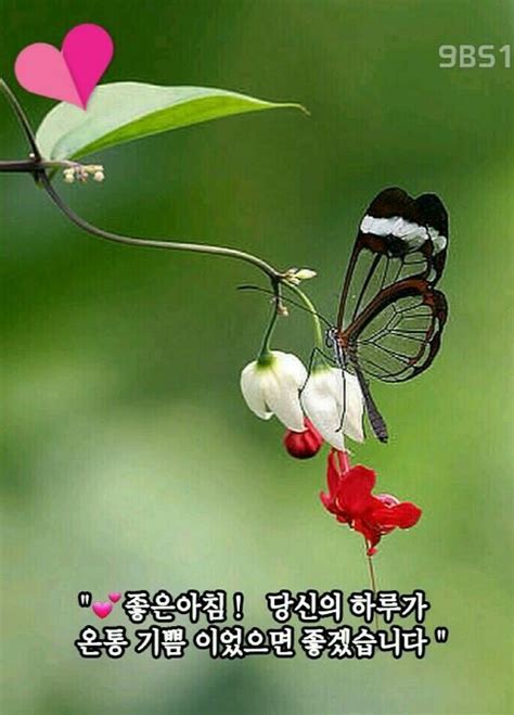 좋은 아침~ 기쁜 하루~ 아침 인사 댄스 사진 멋진 명언