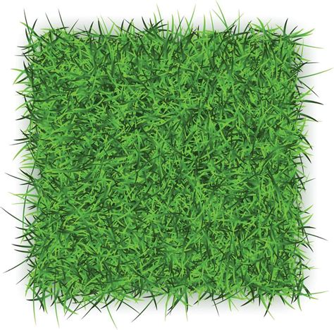 A Green Grass Background 49651609 Vector Art At Vecteezy