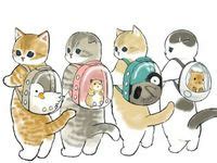 9 Ideas De 🍄michis Asteric🍄 Gatitos Lindos Gatitos Adorables