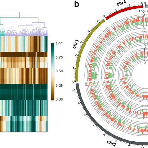 Spatial Location And Variance Clustering Of The Differentially Download Scientific Diagram