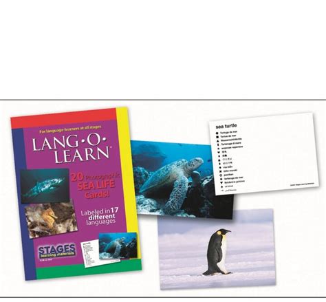 Stages Learning Materials Lang O Learn Esl Sea Life Vocabulary Cards Flashcards ShopStyle