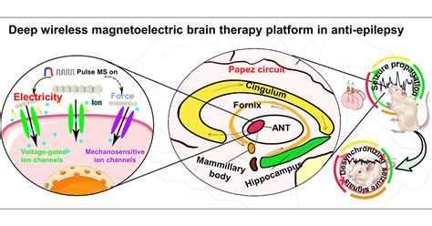 Wireless Powering Deep Brain Stimulation Platform Based On 1d Structured Magnetoelectric