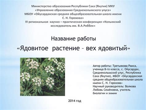 Ppt Название работы «Ядовитое растение вех ядовитый Powerpoint Presentation Id 4529905