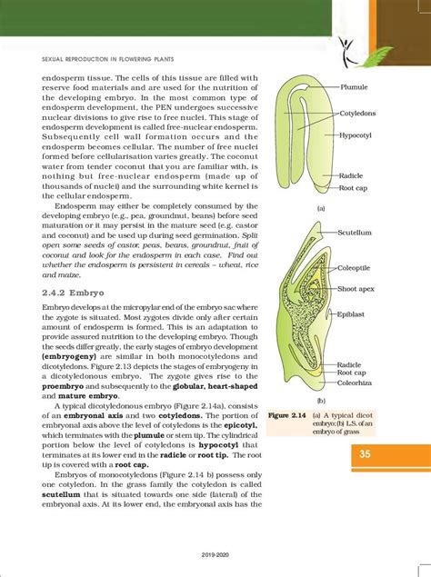 Ncert Book Class 12 Biology Chapter 2 Human Reproduction Pdf Aglasem