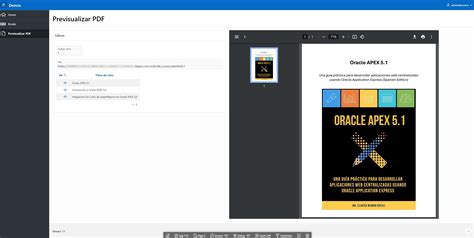 Cómo Previsualizar Pdf Via Restful En Oracle Apex Aprender