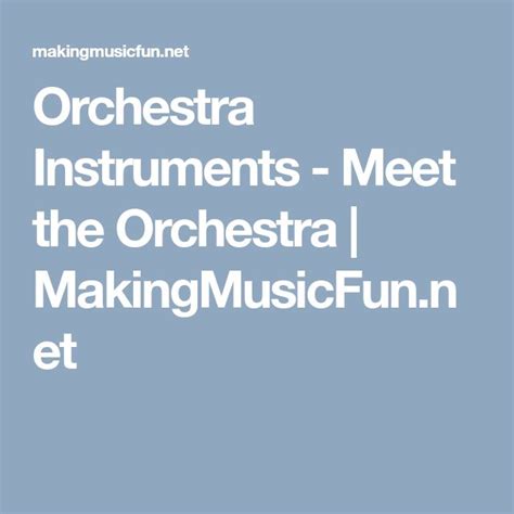 Orchestra Instruments Meet The Orchestra