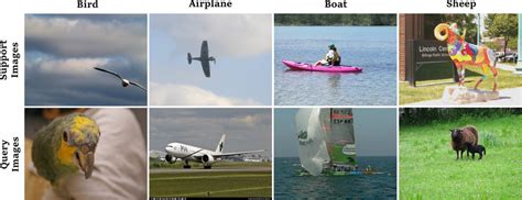 Examples Of The Large Intra Class Variation In Each Column Download