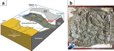 A Schematic Of The Surface Sedimentation In The Hupo Basin Where