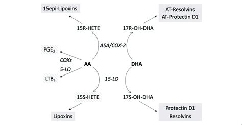 Schematic Of The Biosynthetic Pathways Of The Compounds Evaluated In Download Scientific