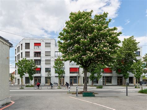 Neubau Wohnsiedlung Herdernstrasse Nimbus Architekten