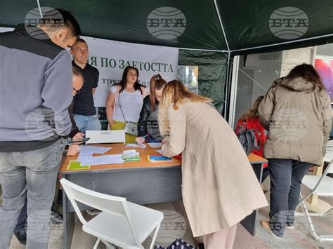 Над 250 безработни във Видин ще се обучават за придобиване на професионална квалификация или