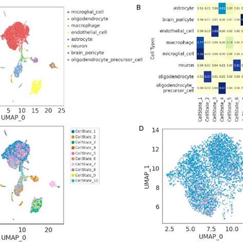 A Umap Based On Pca Analysis Of Gene Expression Overlaid With Known Download Scientific