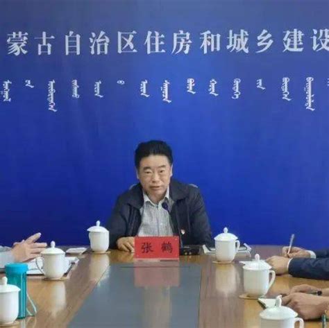 自治区住房和城乡建设厅召开全区房地产领域信访问题化解专题部署视频会议城乡建设厅房地产住房