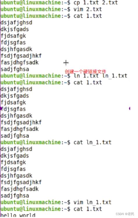 linux基础及shell脚本基础 shell input 请输入lib64路径 csdn博客