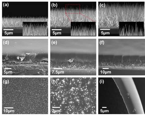 8 Sem Images Vertical Gan Nanowires Grown On 25 µm Thick Gan Thin Download Scientific