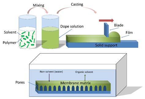 Polymers And Solvents Used In Membrane Fabrication A Review Focusing