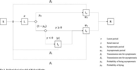 Figure 2 From Comokit V2 A Multi Scale Approach To Modeling And