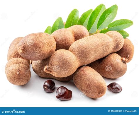 Hojas De Fruto Maduro De Tamarind Y Algunas Semillas De Tamarindo