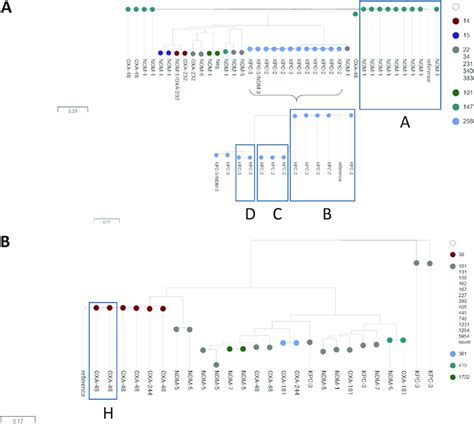 Single Nucleotide Variant Tree Of All Carbapenemase Producing Download Scientific Diagram
