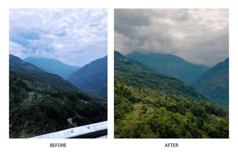 Wasp Aggregation R Rhino Grasshopper