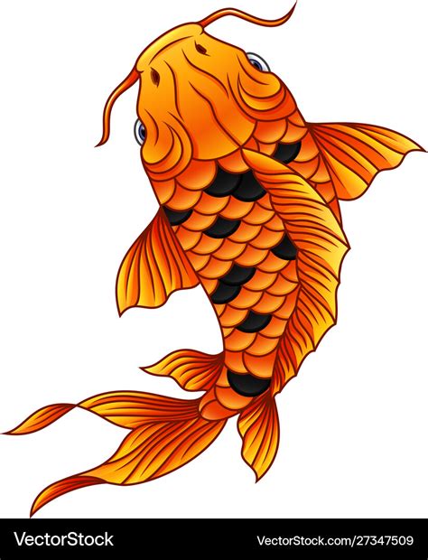 Cartoon Koi Fish Swimming On White Background Vector Image