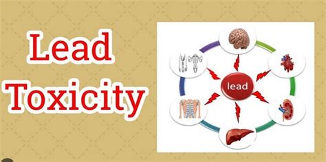Residential Construction Employers Council Lead Operations