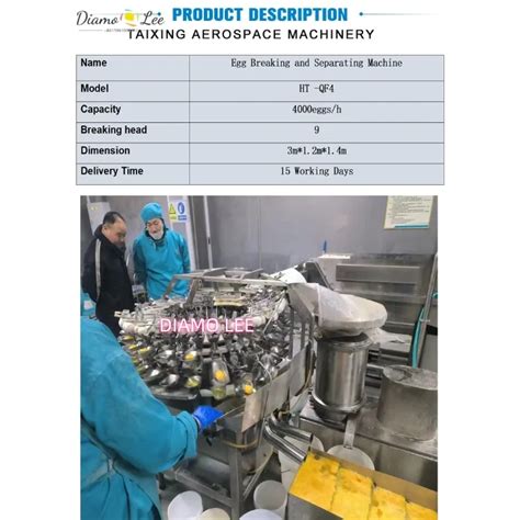 Industrial Egg Breaking Machine For Liquid Egg Processing Egg