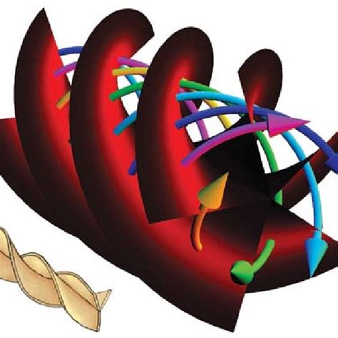 Light Can Carry Orbital Angular Momentum If Its Phasefronts Are Twisted Download Scientific