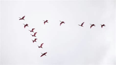 Aws App Modernization Proven Strategies And Best Practices