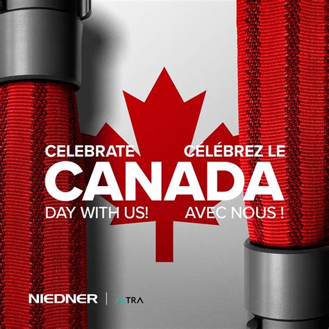 luc alain pelletier on linkedin niedner
