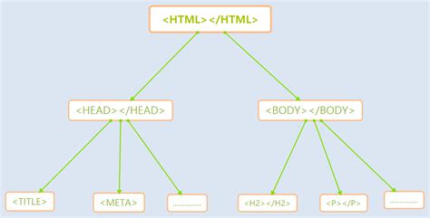 HTML 基础 Treecatee