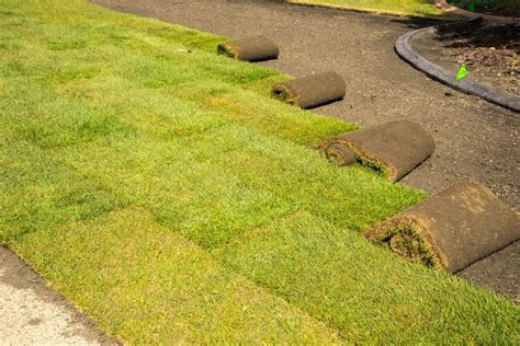Is Laying Sod Hard Should You Try Diy Or Hire A Sod Installer In