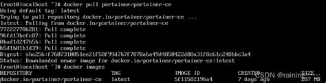 Docker 安装 Portainer Portainer Ce Csdn博客