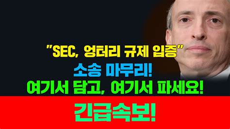 긴급속보 리플 Sec 엉터리 규제 입증 소송 마무리 여기서 담고 여기서 파세요 리플 리플전망 리플코인 리플대응 리플수익 리플급등 리플코인실시간방송