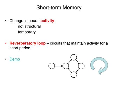 Ppt Memory Iii Working Memory And Brain Powerpoint Presentation Id386691