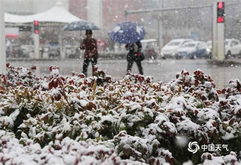 雪花簌簌迷人眼 河南宝丰县降雪影响出行 天气图集 中国天气网