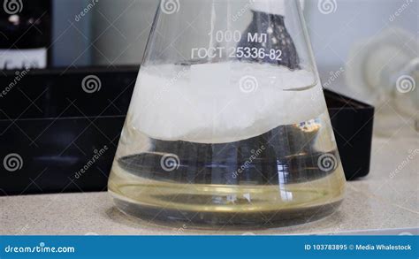 Laboratory Glass Erlenmeyer Conical Flask Filled With Chemical White Liquid For A Chemistry