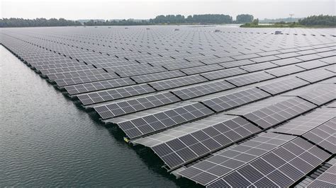 What Will The Rise Of Floating Solar Panels Mean For Wildlife Grist