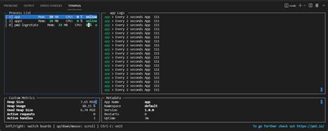 What Is Pm2 Node How To Install Pm2 Ubuntuwindowsmacos What Is Pm2 Node How To Install Pm2 Ubuntuwindowsmacos
